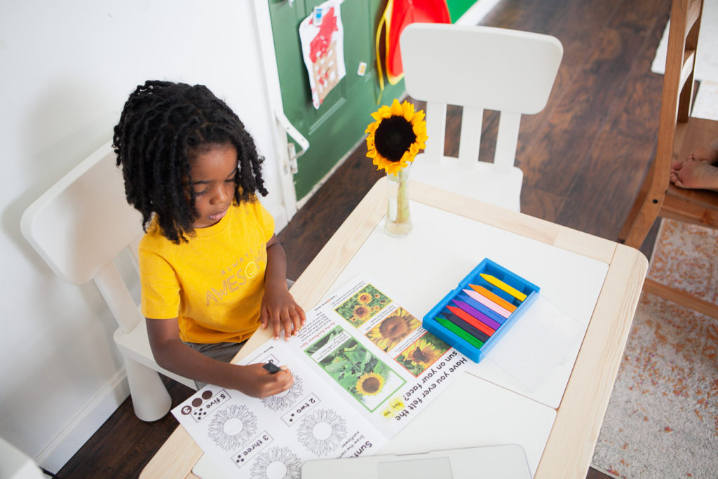 Kindy Ready Special Guest Enrollment – Kindy Ready