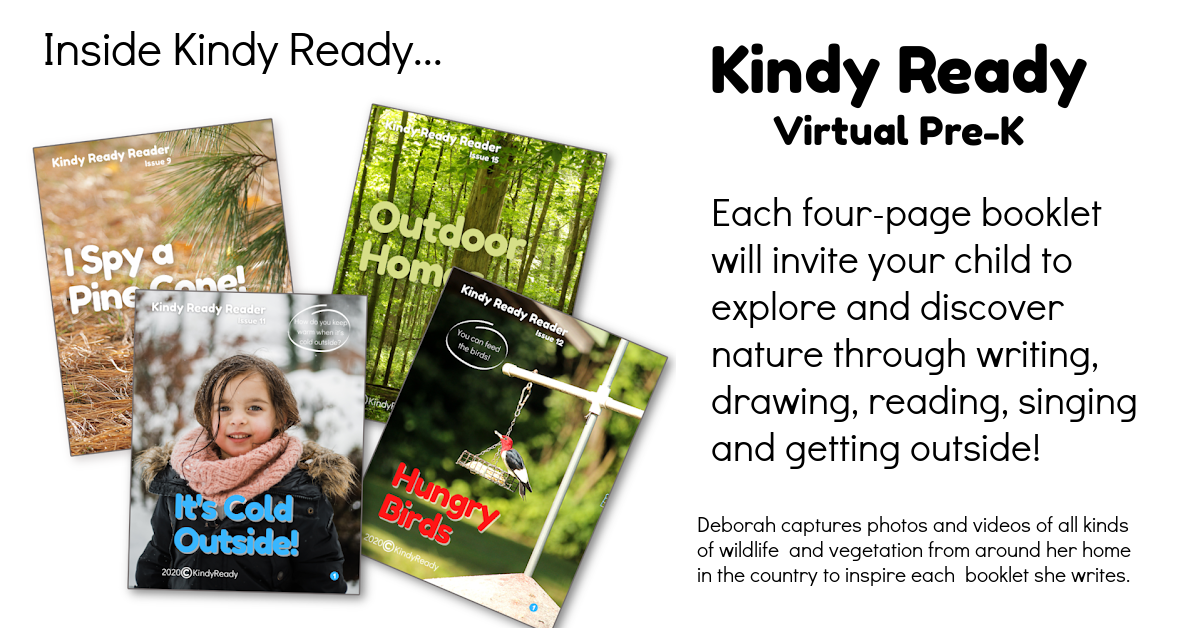 Kindy Ready Special Guest Enrollment – Kindy Ready
